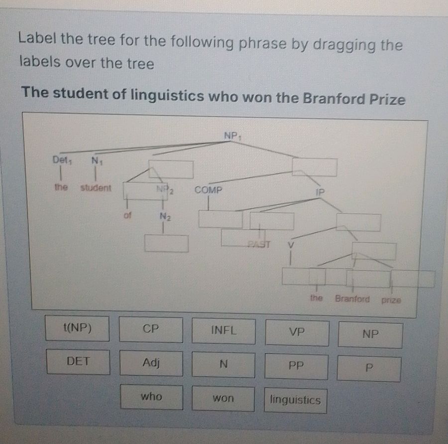 Label the tree for the following phrase by | StudyX
