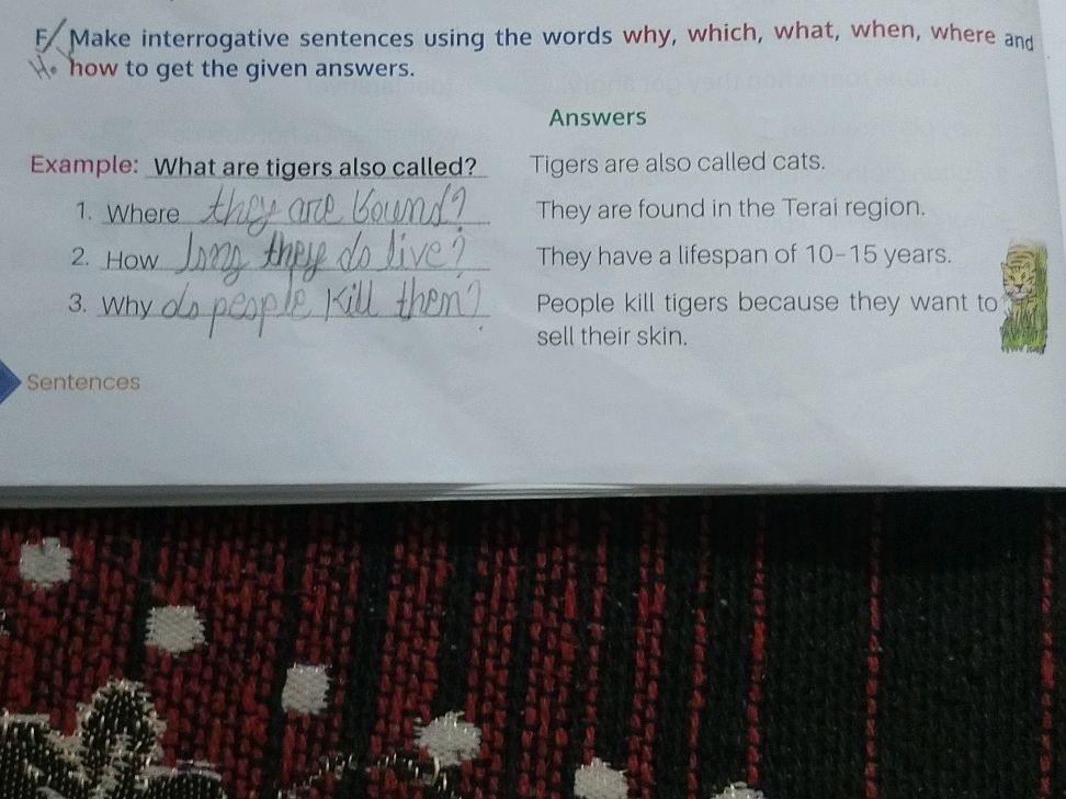 Make interrogative sentences using the words | StudyX