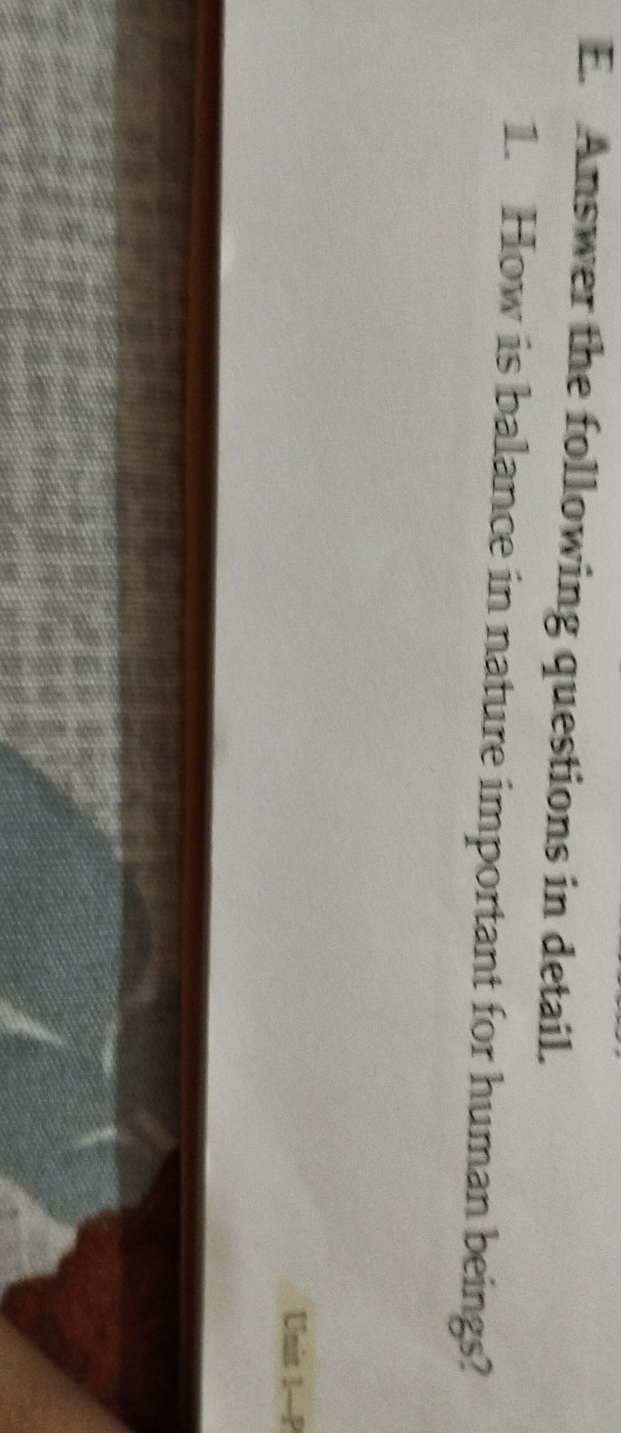 E. Answer the following questions in detail. | StudyX