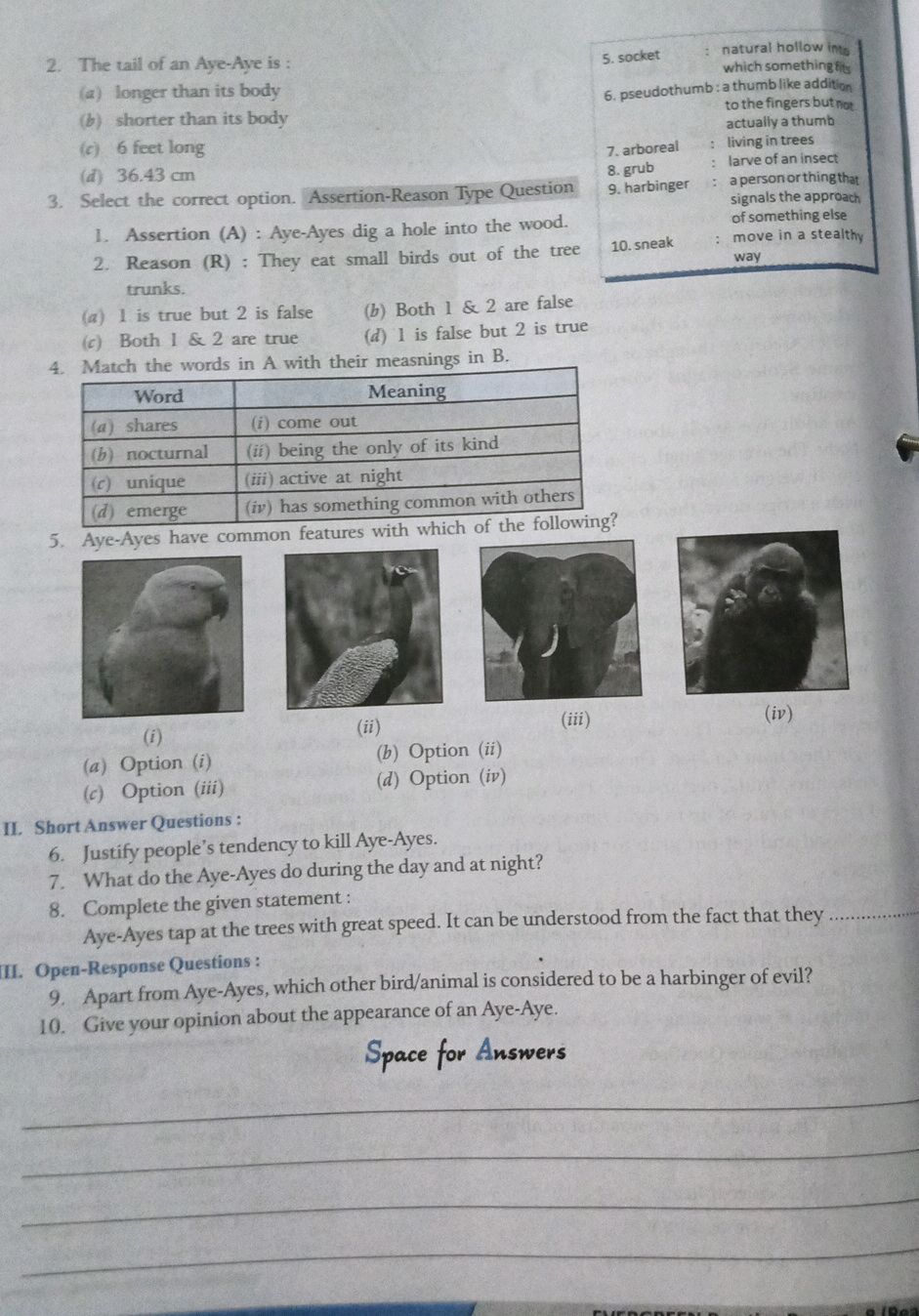 2. The tail of an Aye-Aye is: (a) longer | StudyX