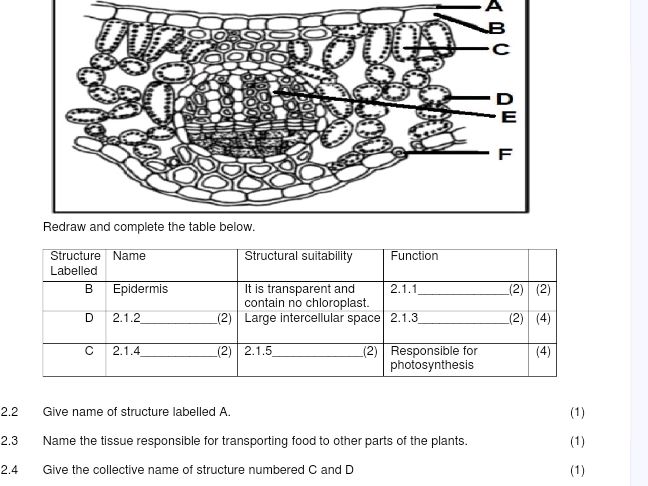 Redraw and complete the table below. | | StudyX