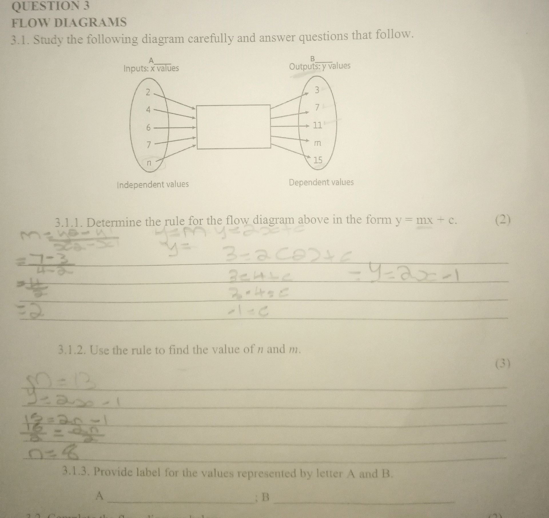 3.1. Study the following diagram carefully | StudyX