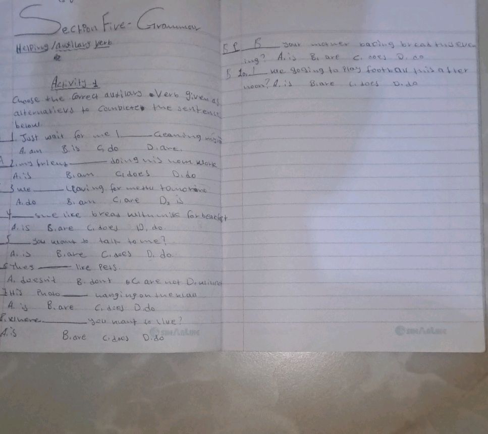 Activity 1 Choose the Correct autilars Verb | StudyX