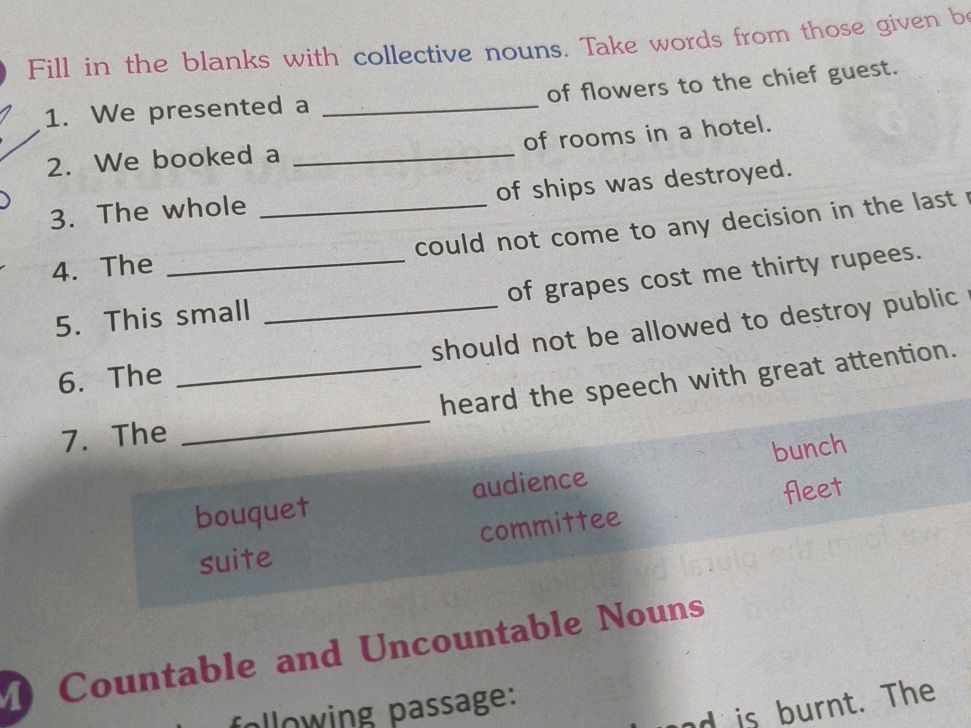 Fill in the blanks with collective nouns. | StudyX