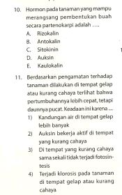 10. Hormon pada tanaman yang mampu | StudyX