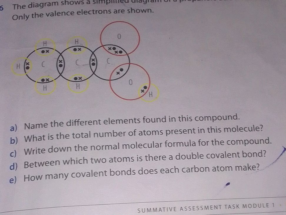 a) Name the different elements found in this | StudyX