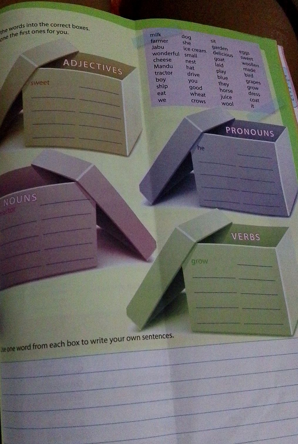 Sort the words into the correct boxes. | StudyX