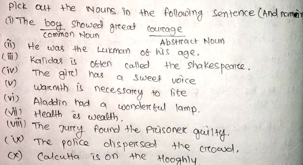 Pick out the Nouns in the following sentence | StudyX