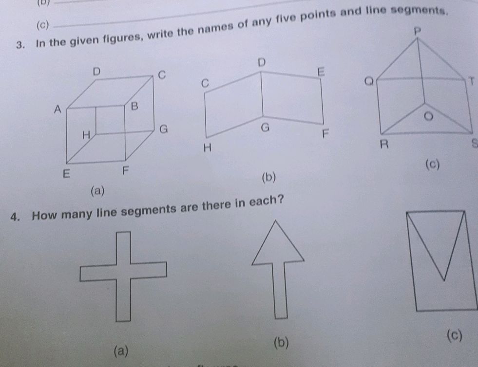 3. In the given figures, write the names of | StudyX