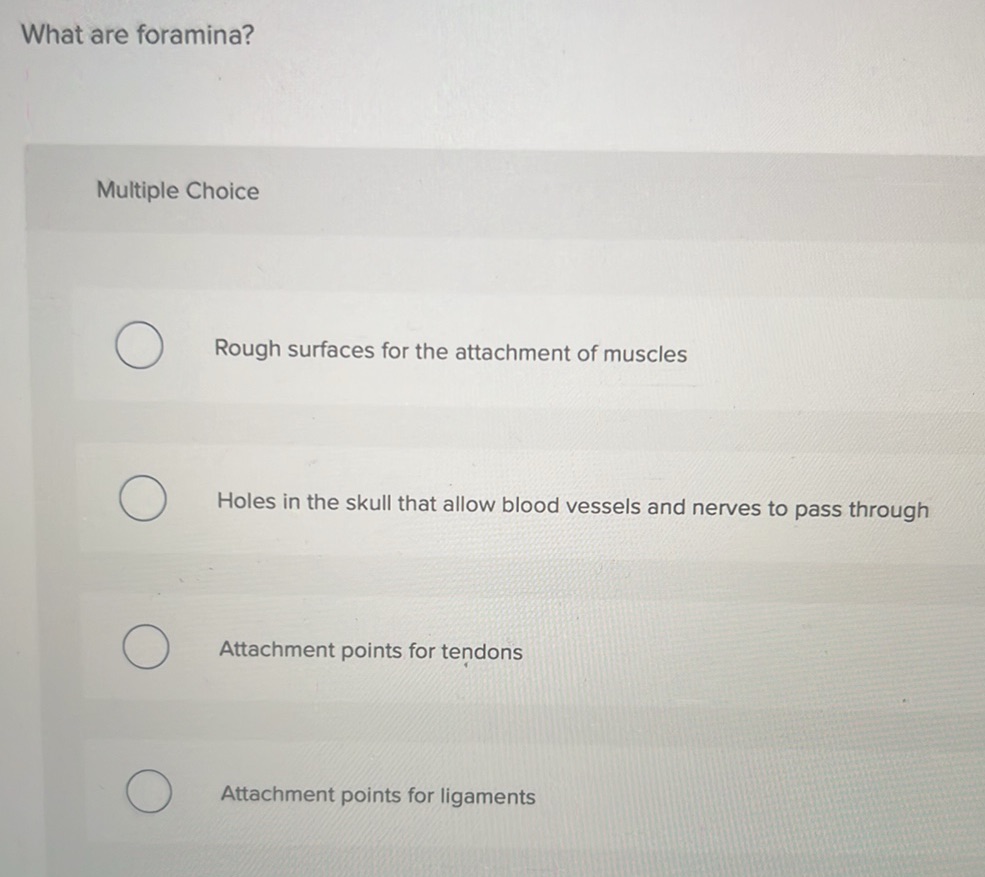 What are foramina? Multiple Choice Rough | StudyX