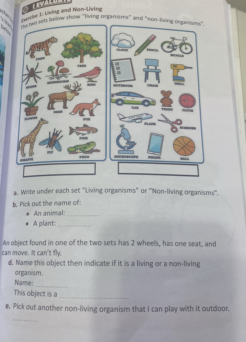 Exercise 1: Living and Non-Living The two | StudyX