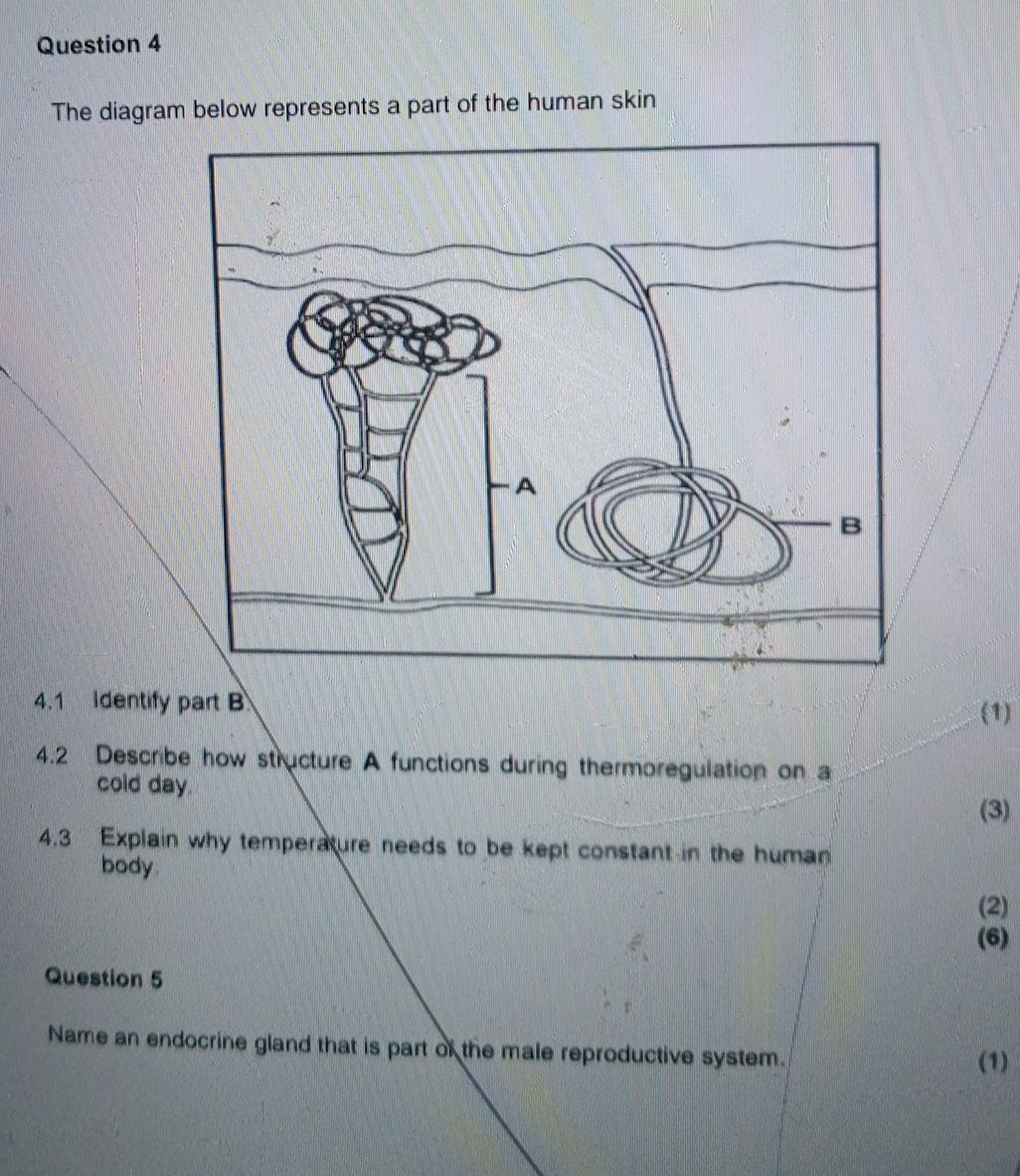 Question 4 The diagram below represents a | StudyX