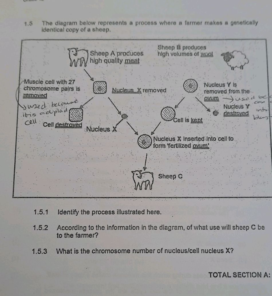 1. 5 The diagram below represents a process | StudyX