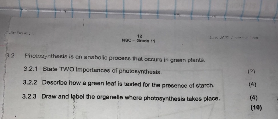 3.2 Photosynthesis is an anabolic process | StudyX