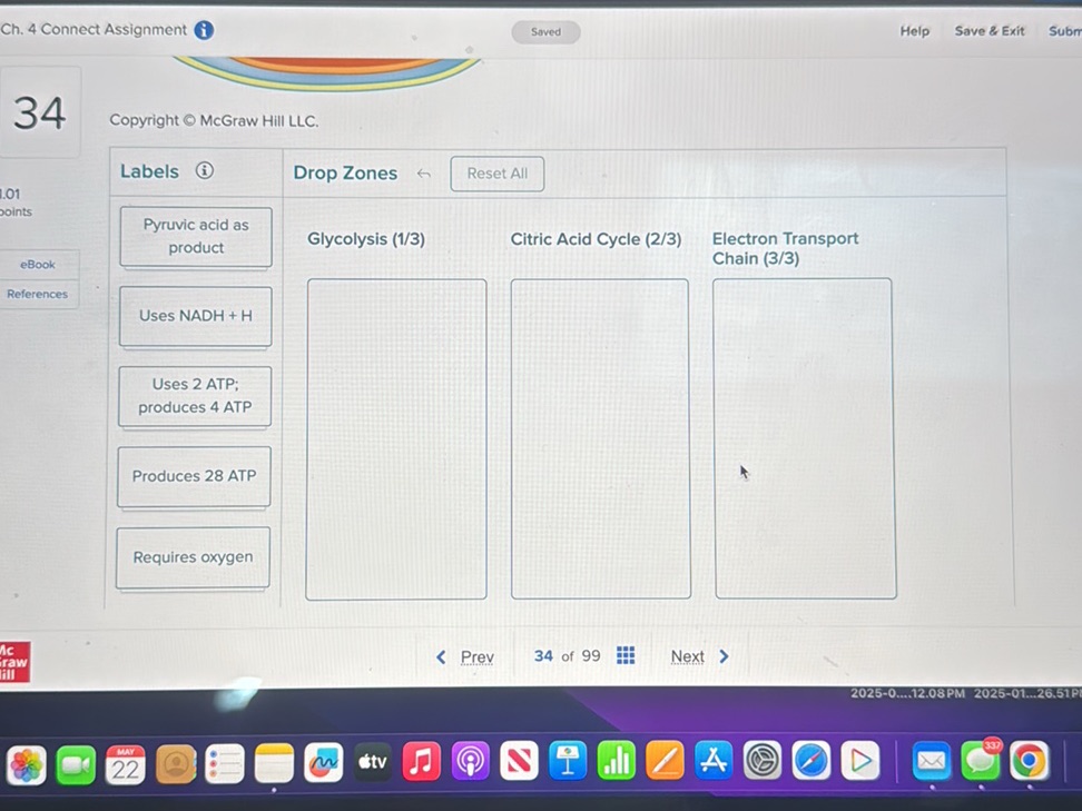 Match the following labels to the correct | StudyX