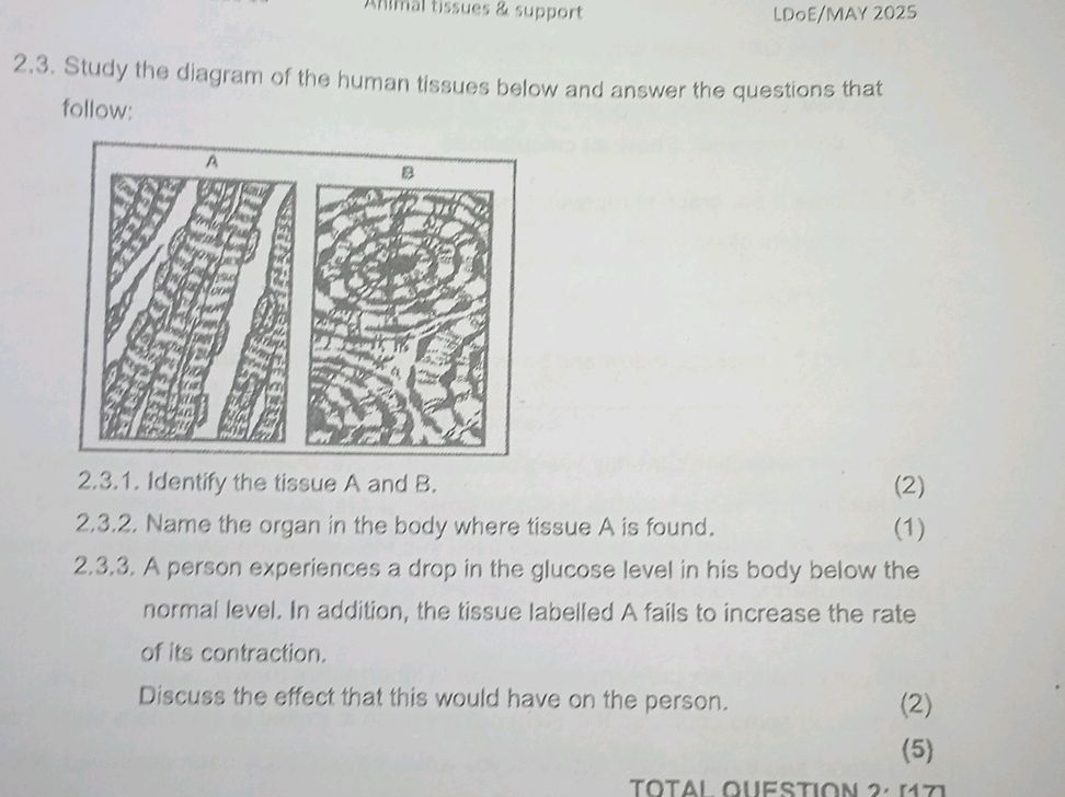 2.3. Study the diagram of the human tissues | StudyX