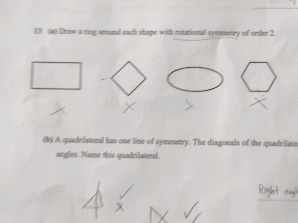13 (a) Draw a ring around each shape with | StudyX