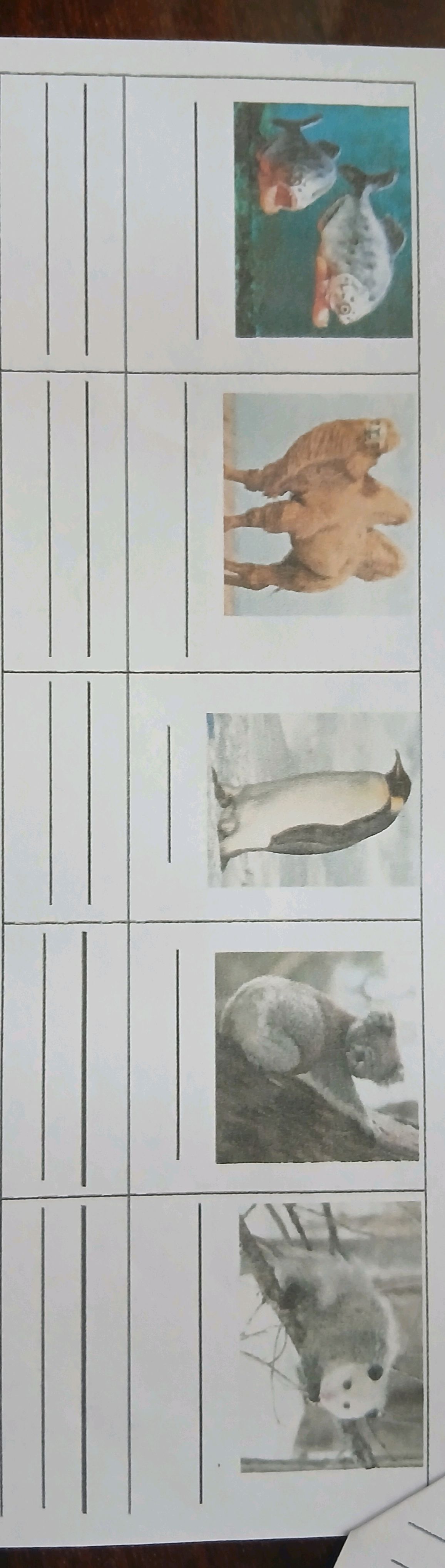 The image shows a matching exercise. The | StudyX