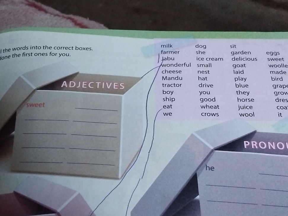 Fill the words into the correct boxes. done | StudyX