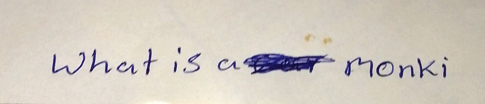 What is a monki? | StudyX