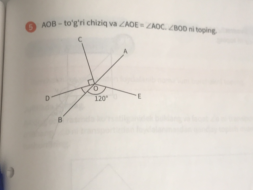 AOB - to'g'ri chiziq va ∠AOE = ∠AOC. ∠BOD ni | StudyX