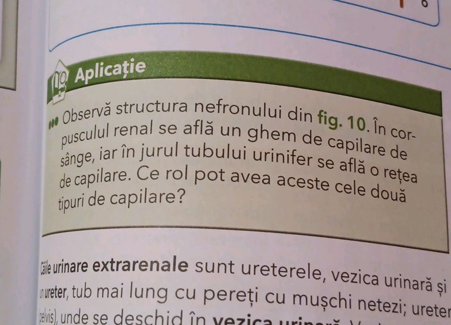 Observă structura nefronului din fig. 10. În | StudyX