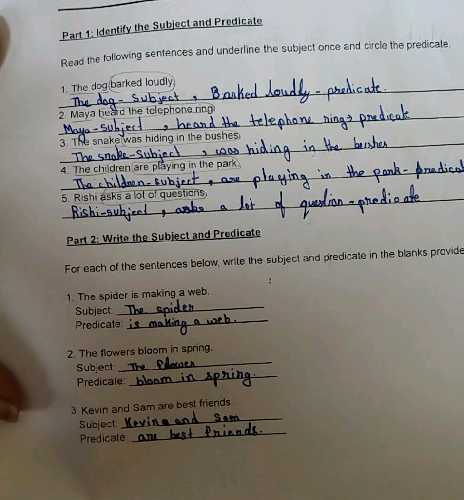 Part 1: Identify the Subject and Predicate | StudyX