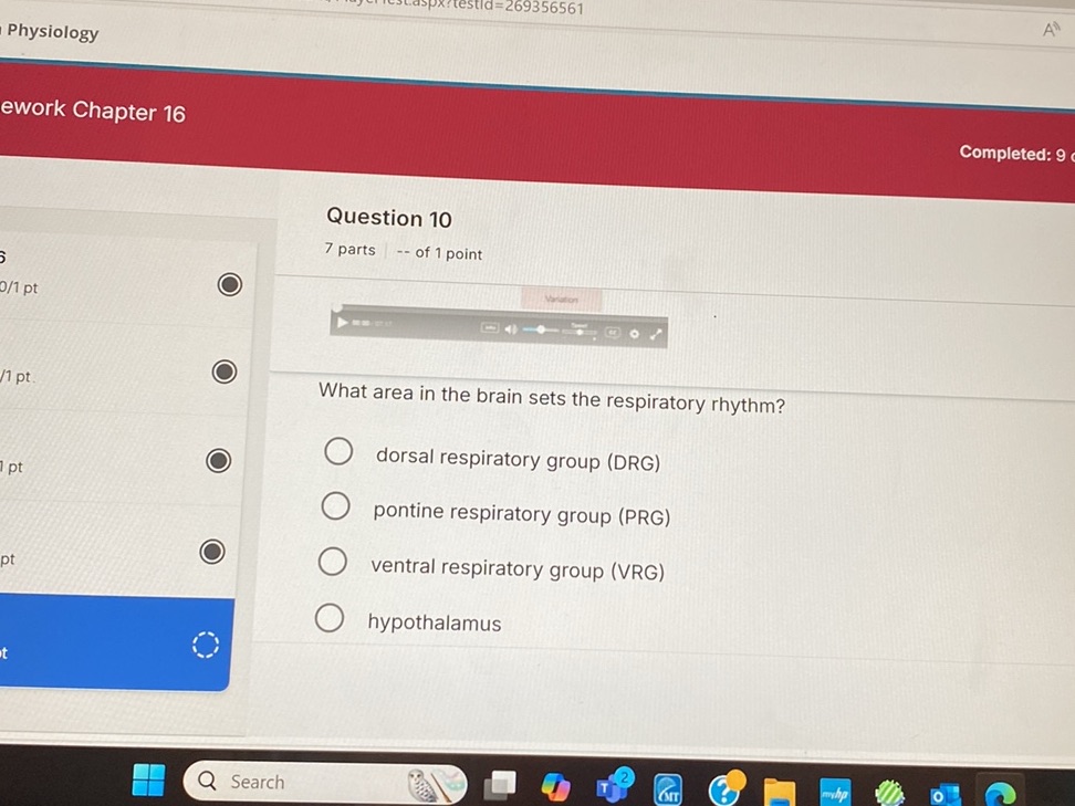 What area in the brain sets the respiratory | StudyX