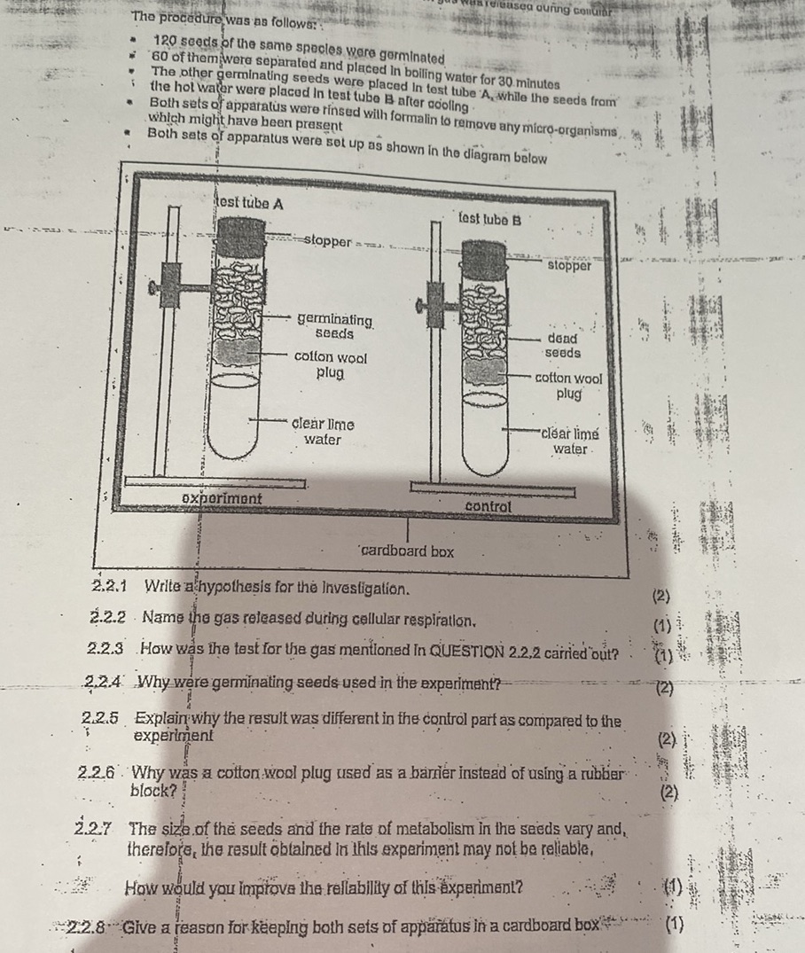 The procedure was as follows: * 120 seeds | StudyX