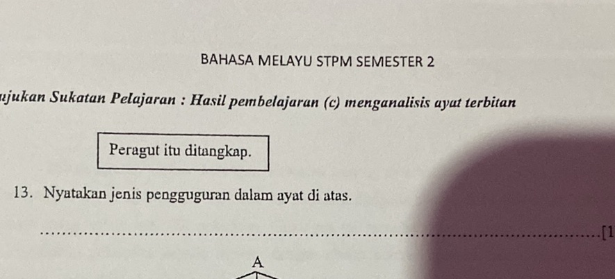 Peragut itu ditangkap. 13. Nyatakan jenis | StudyX