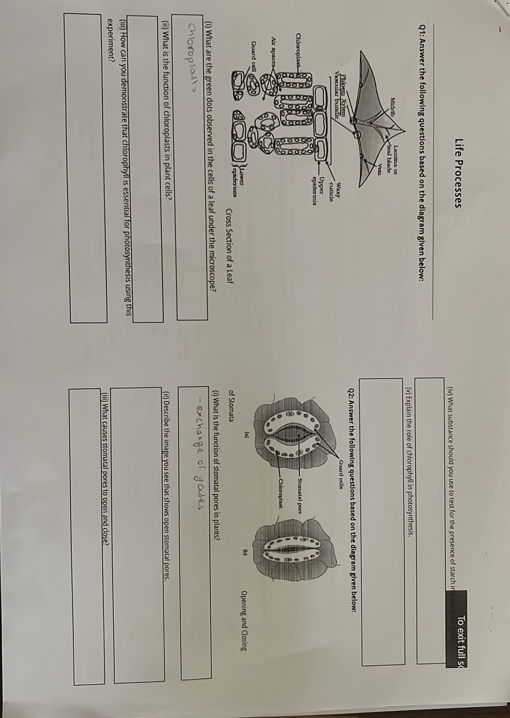 Q1: Answer the following questions based on | StudyX