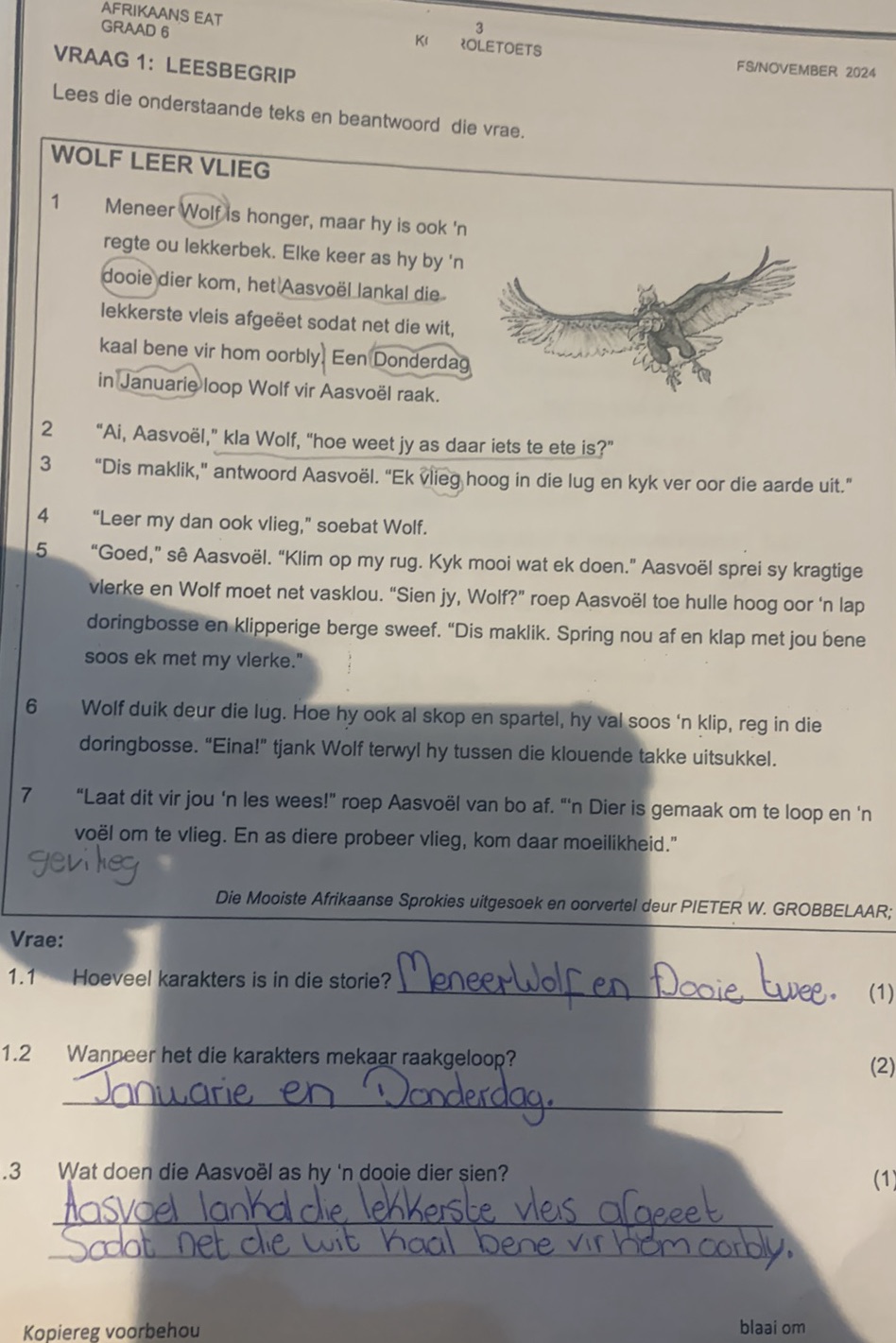 1.1 Hoeveel karakters is in die storie? | StudyX