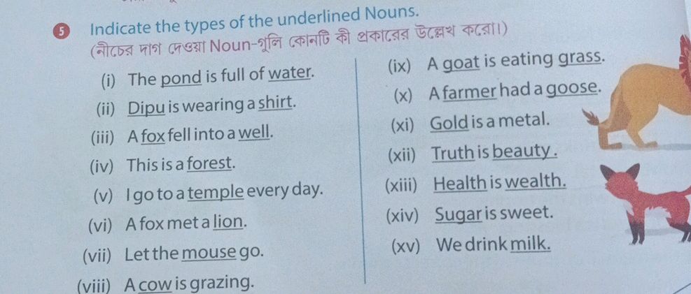 Indicate the types of the underlined Nouns. | StudyX