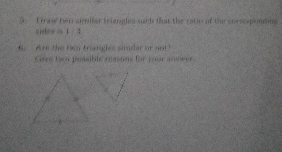 3. Draw two similar triangles such that the | StudyX