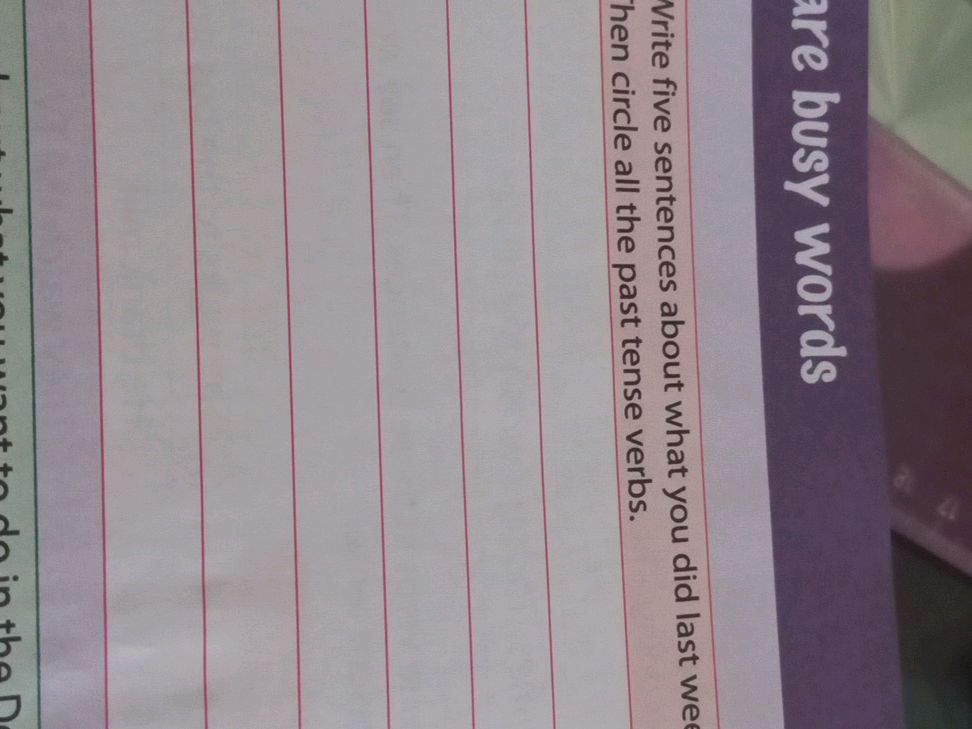 Write five sentences about what you did last | StudyX