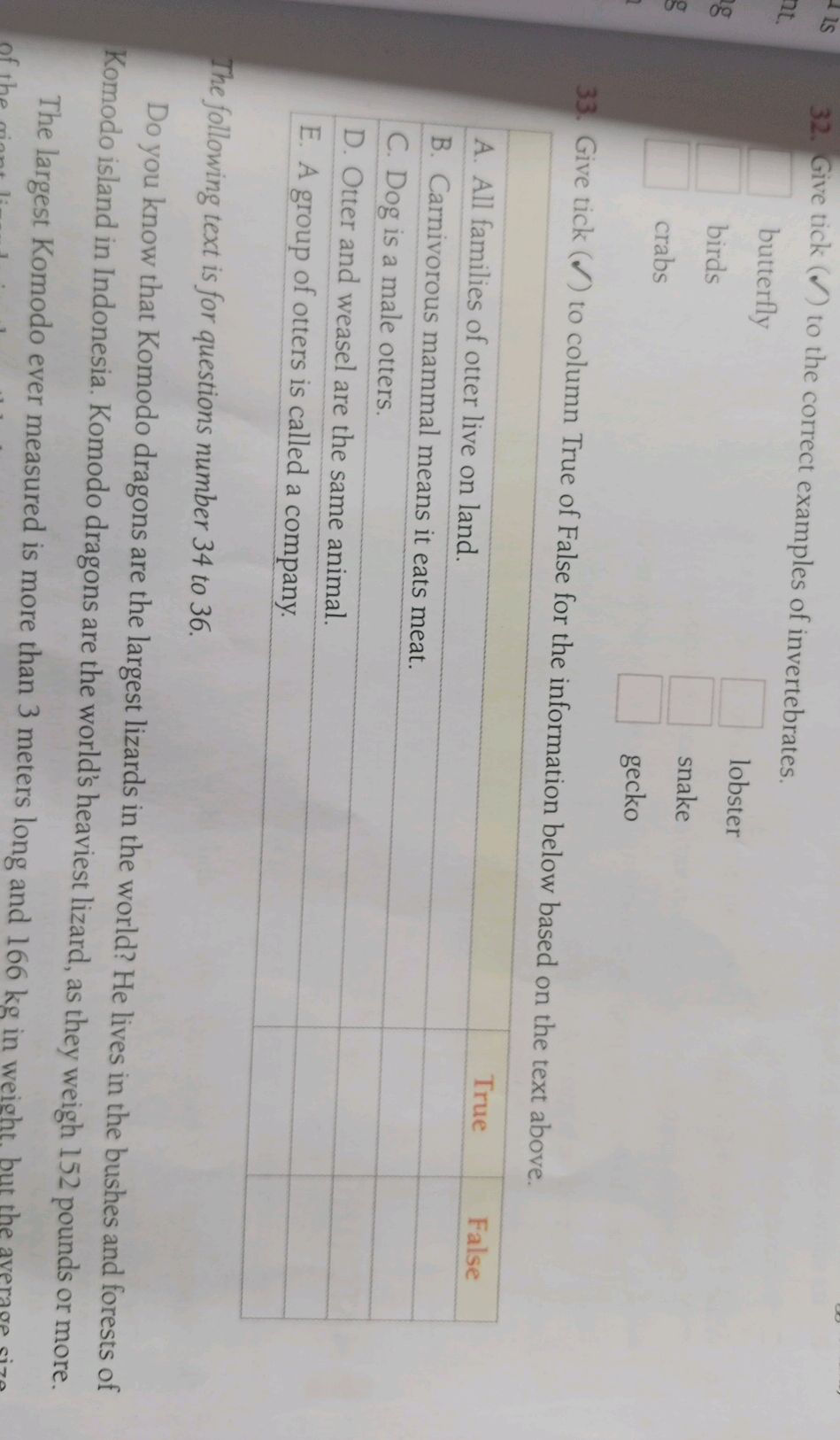 32. Give tick ( ) to the correct examples of | StudyX