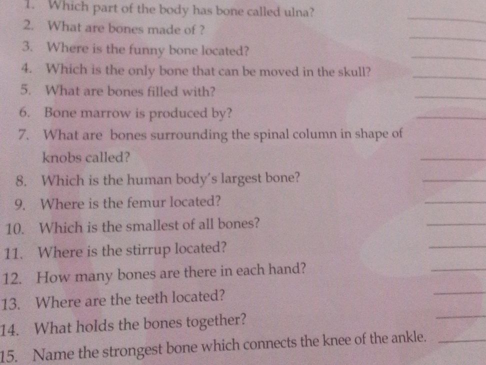 1. Which part of the body has bone called | StudyX