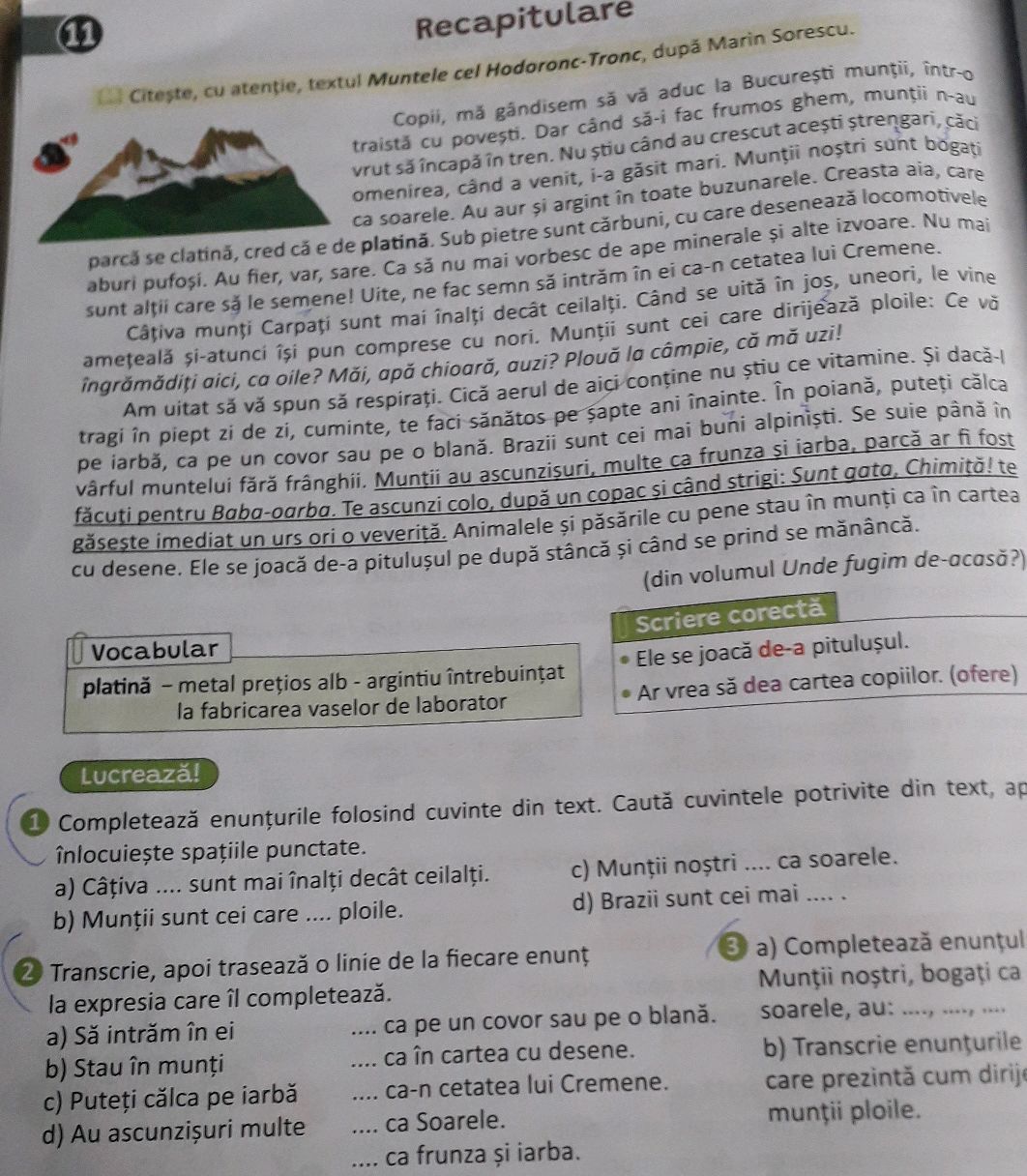 1 Completează enunţurile folosind cuvinte | StudyX