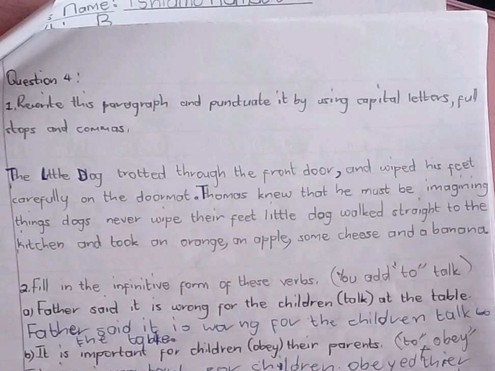 1. Rewrite this paragraph and punctuate it | StudyX