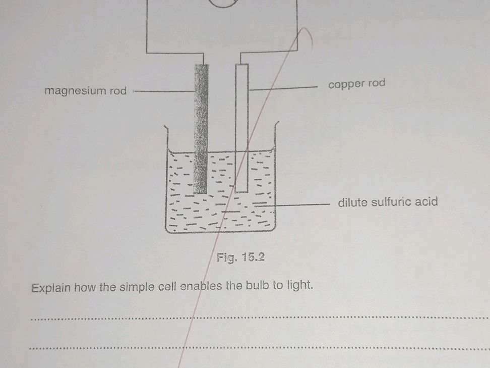 Explain how the simple cell enables the bulb | StudyX