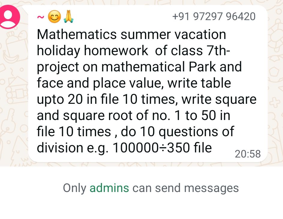 Mathematics summer vacation holiday homework | StudyX