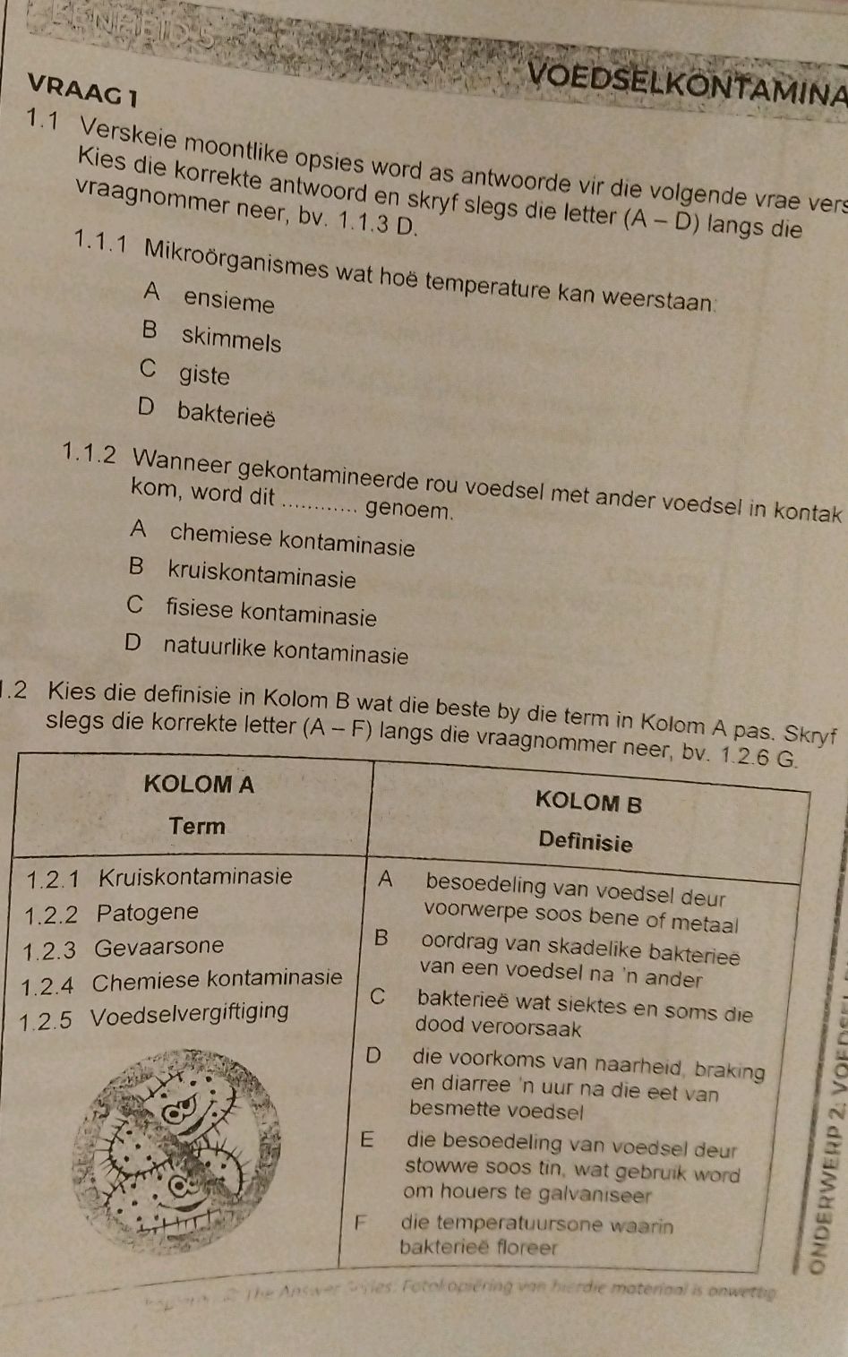 1.1 Verskeie moontlike opsies word as | StudyX