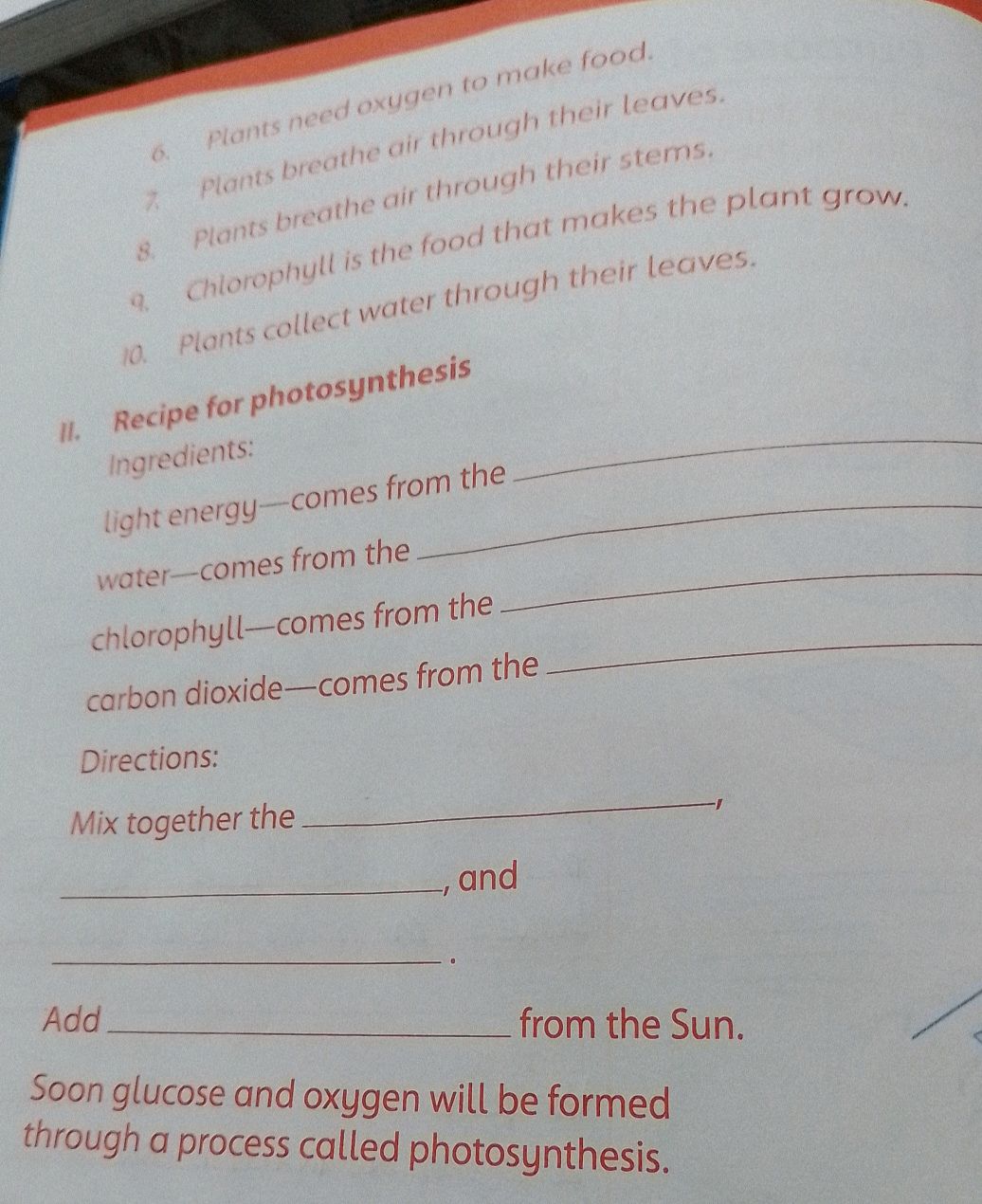 11. Recipe for photosynthesis Ingredients: | StudyX