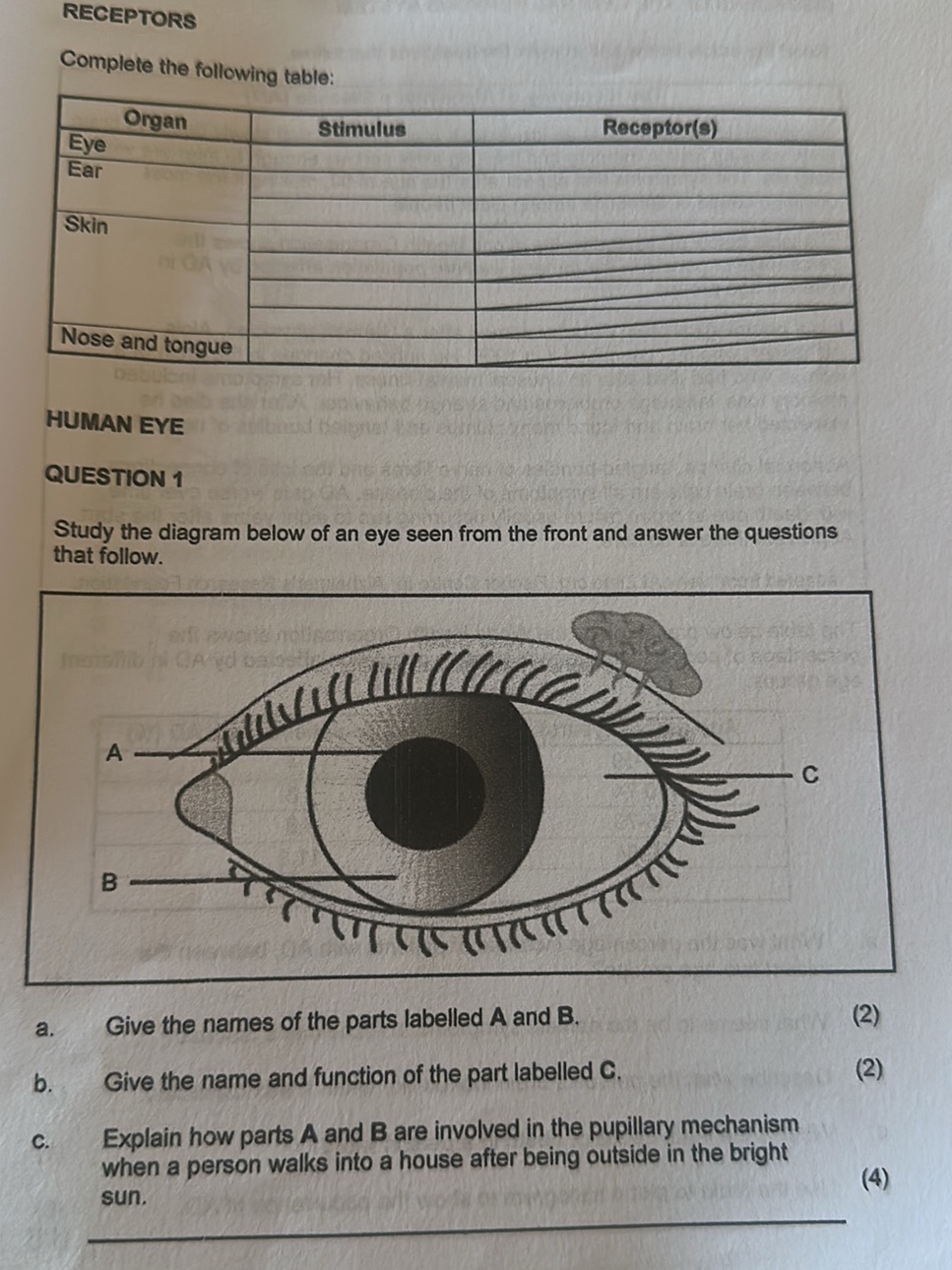 Complete the following table: | Organ | | StudyX