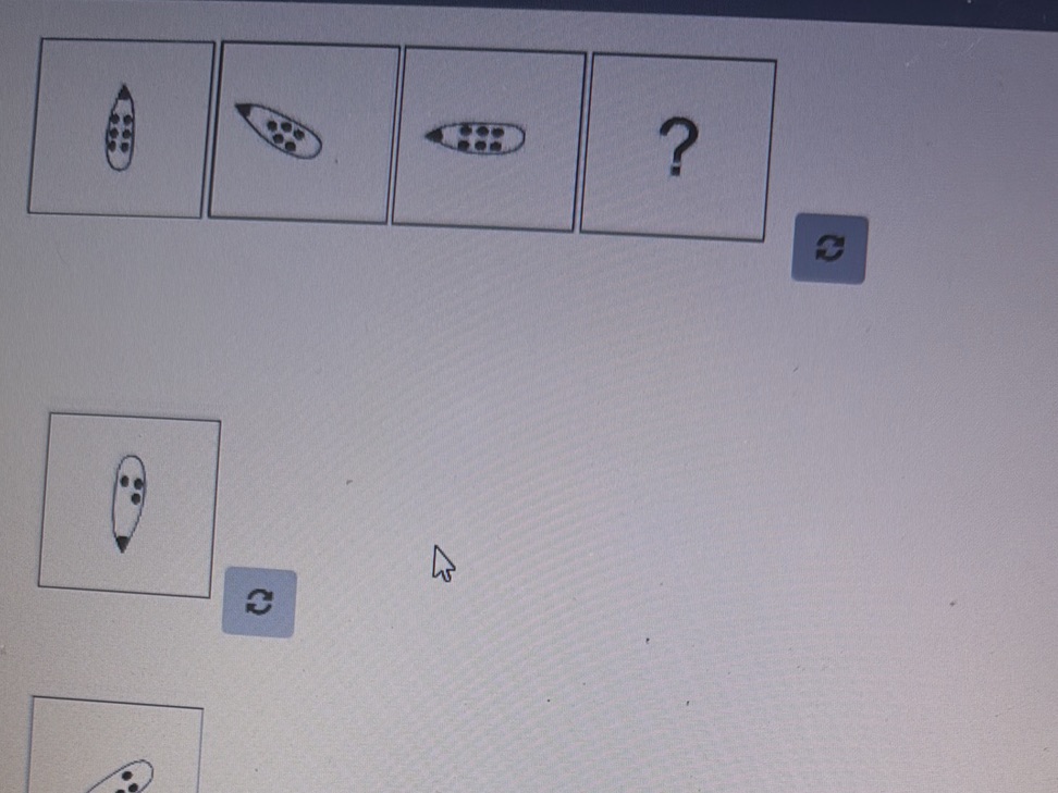 What comes next in the sequence? The | StudyX
