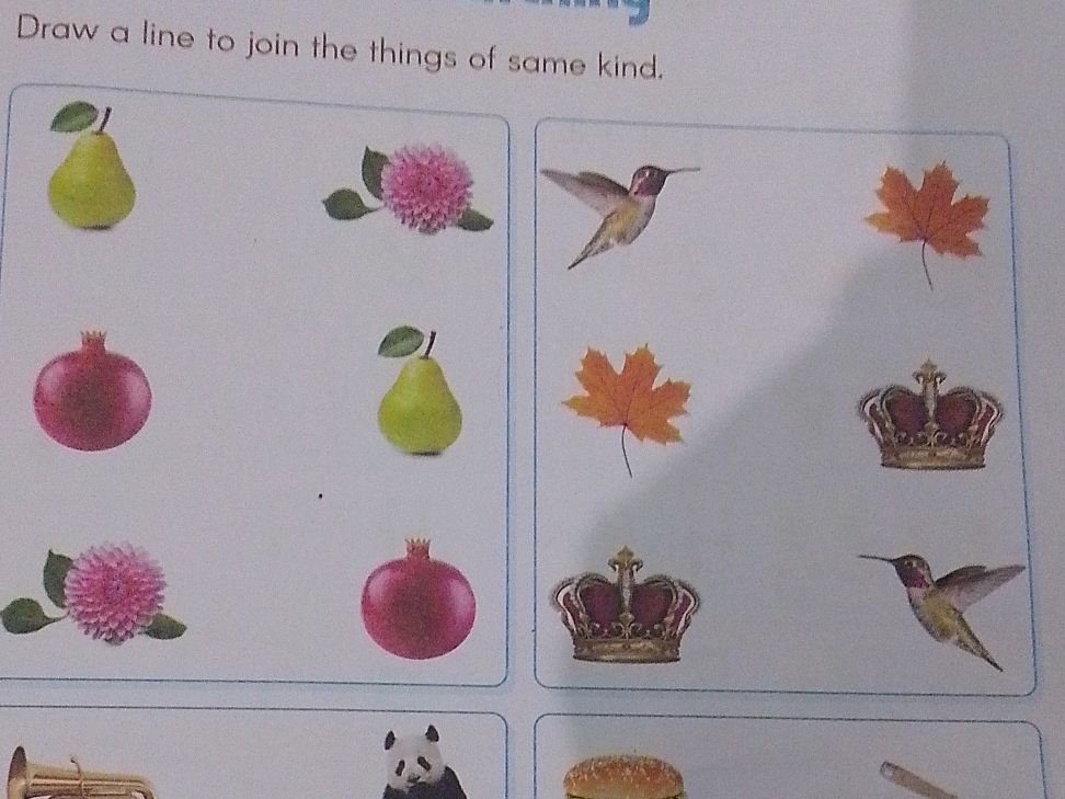 Draw a line to join the things of same kind. | StudyX