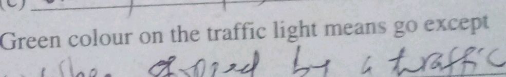 Green colour on the traffic light means go