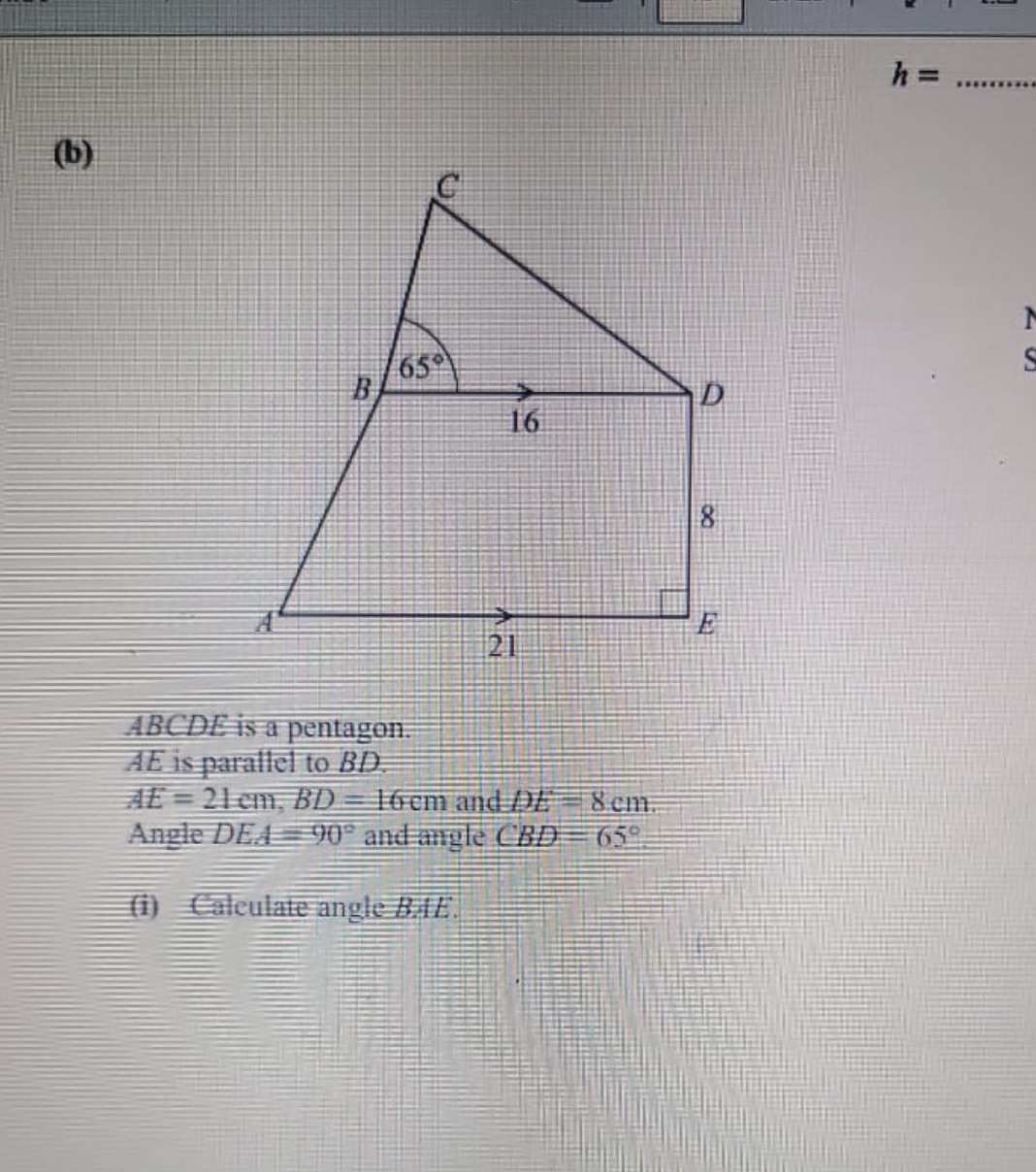 ABCDE is a pentagon. AE is parallel to BD. | StudyX