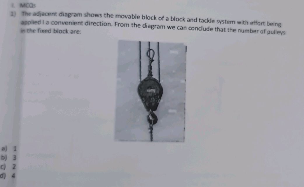 1. MCQS 1) The adjacent diagram shows the | StudyX