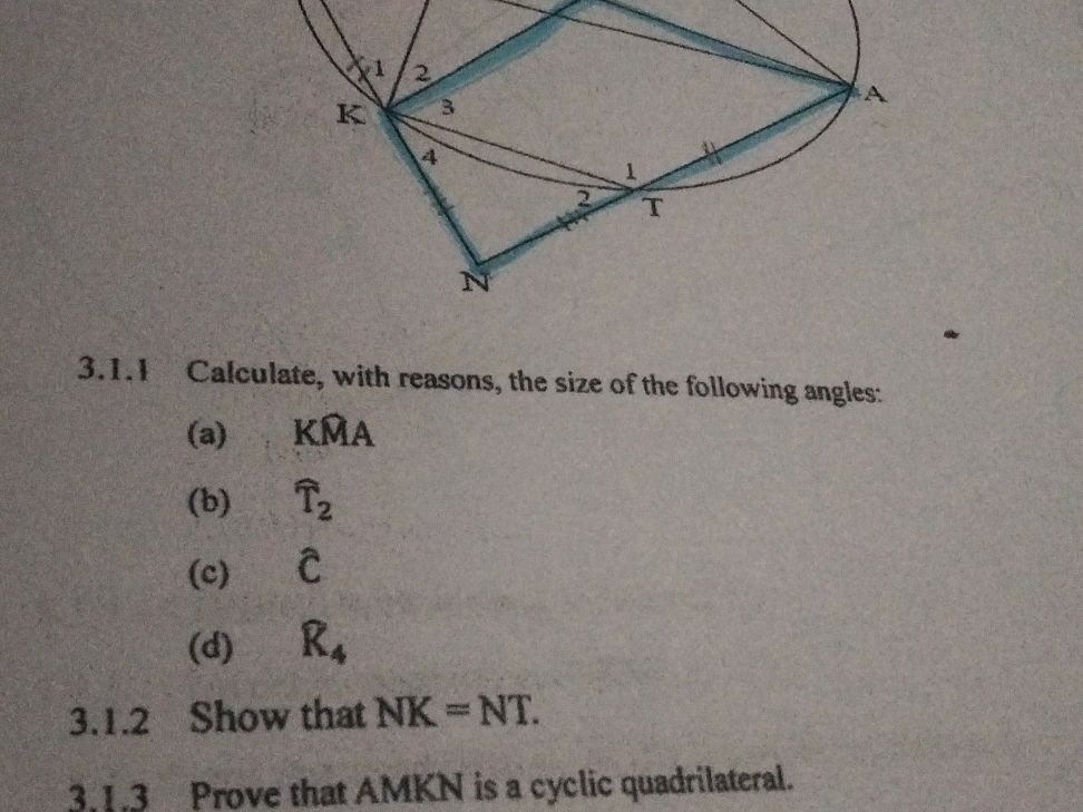3.1.1 Calculate, with reasons, the size of | StudyX